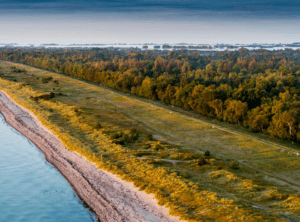 Marielyst » +20 sommerhuse og grunde til salg | Planet Huse